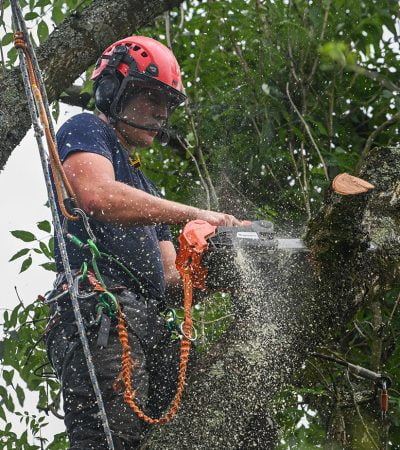 Join Us - Arboricultural Job Vacancies