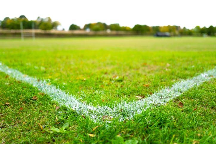 Essential School Grounds Maintenance Checklist For 2025 - Arborcure